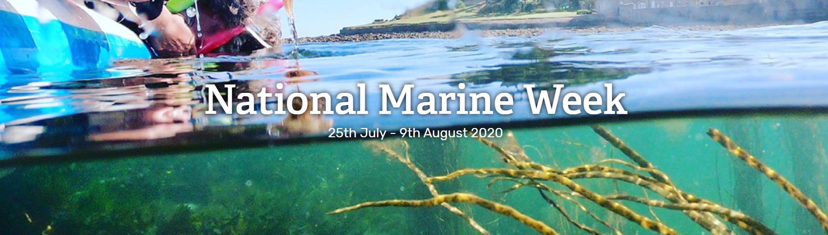 We're celebrating National Marine Week | James Fisher and Sons plc