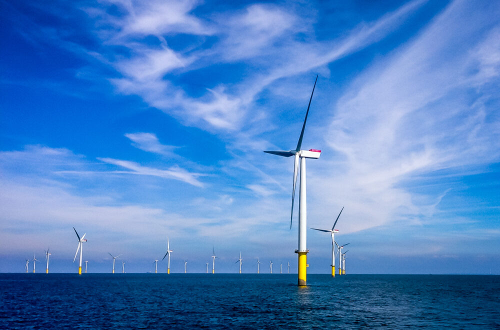 Mojo Maritime launches Mermaid